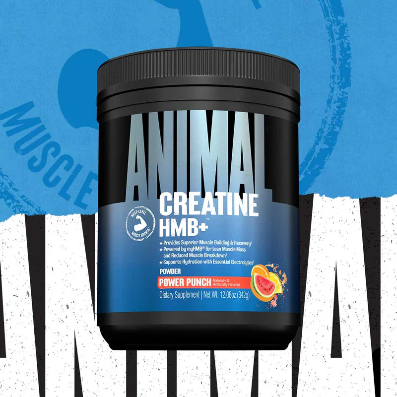Creatine HMB: The Ultimate Muscle-Building Duo Backed by Science