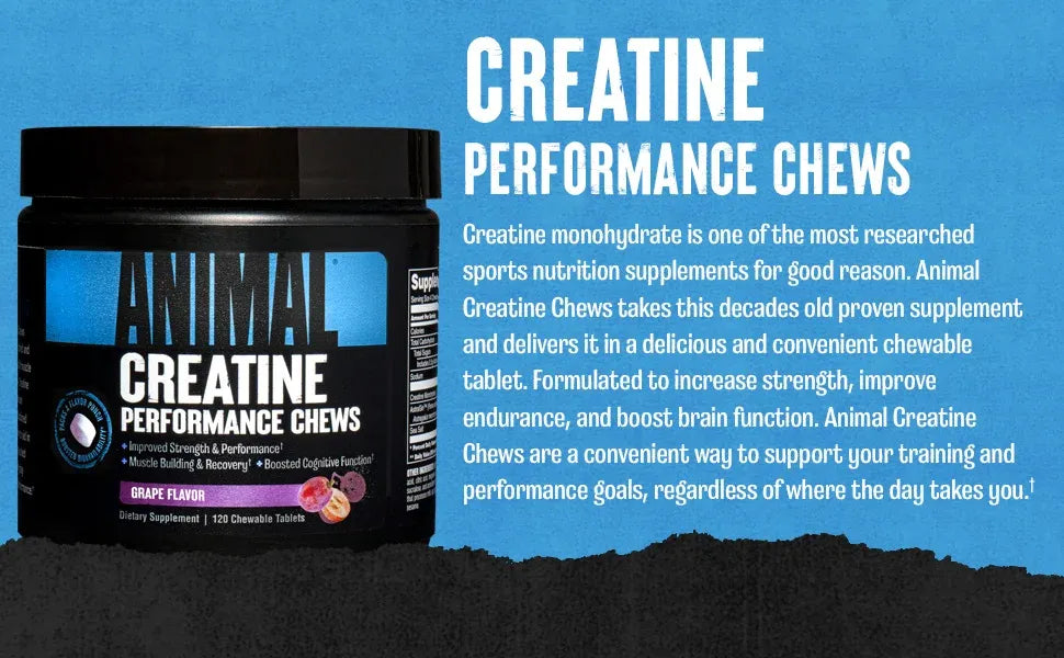 How much creatine per day to build muscle
